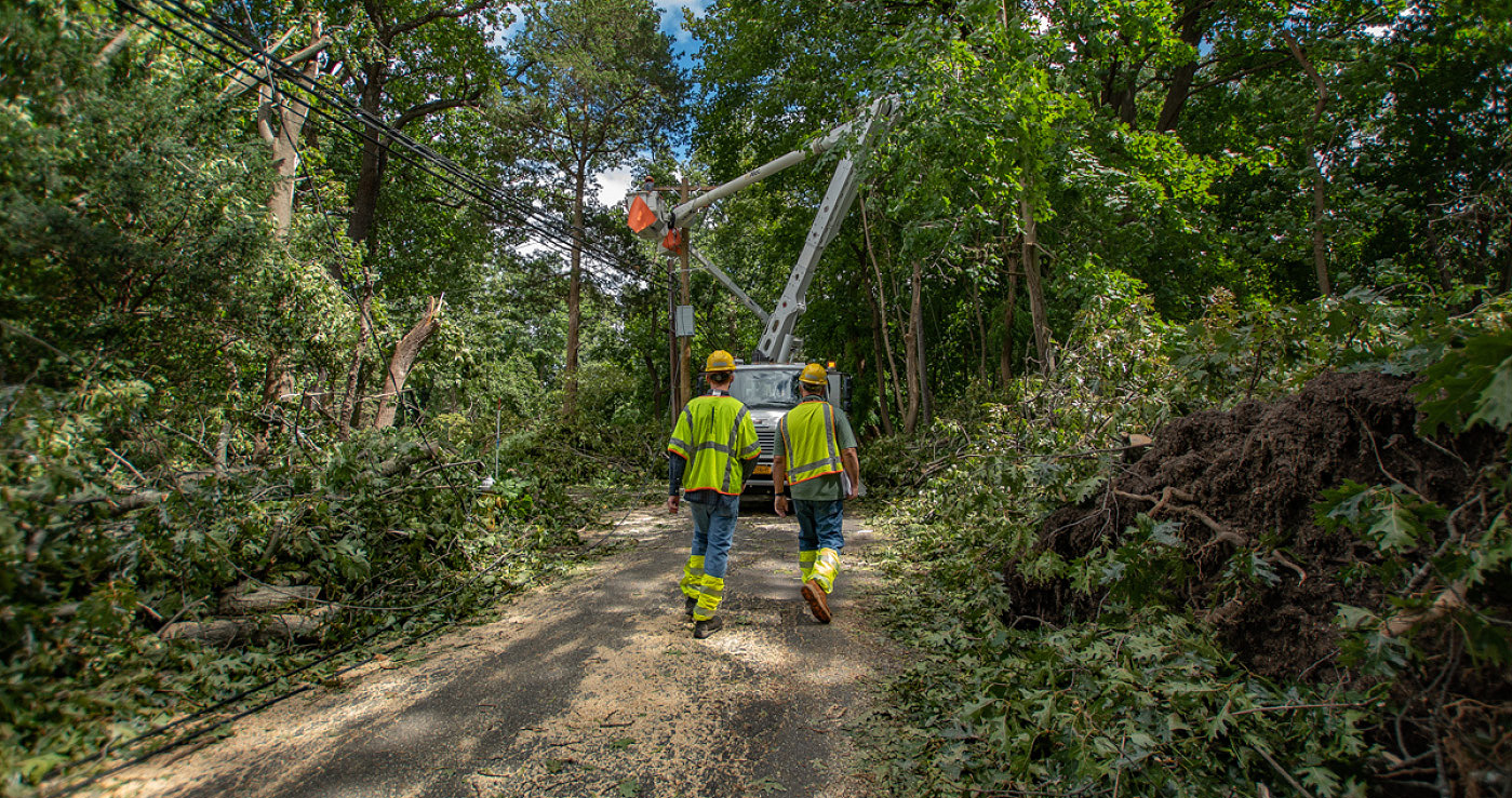 Report and Check Power Outages - PSEG Long Island