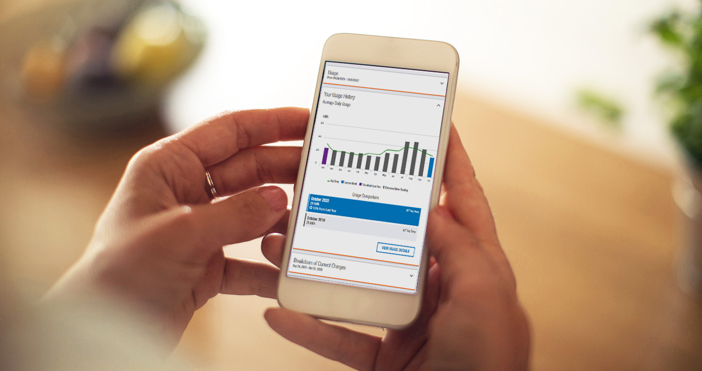 Home Page - PSEG Long Island