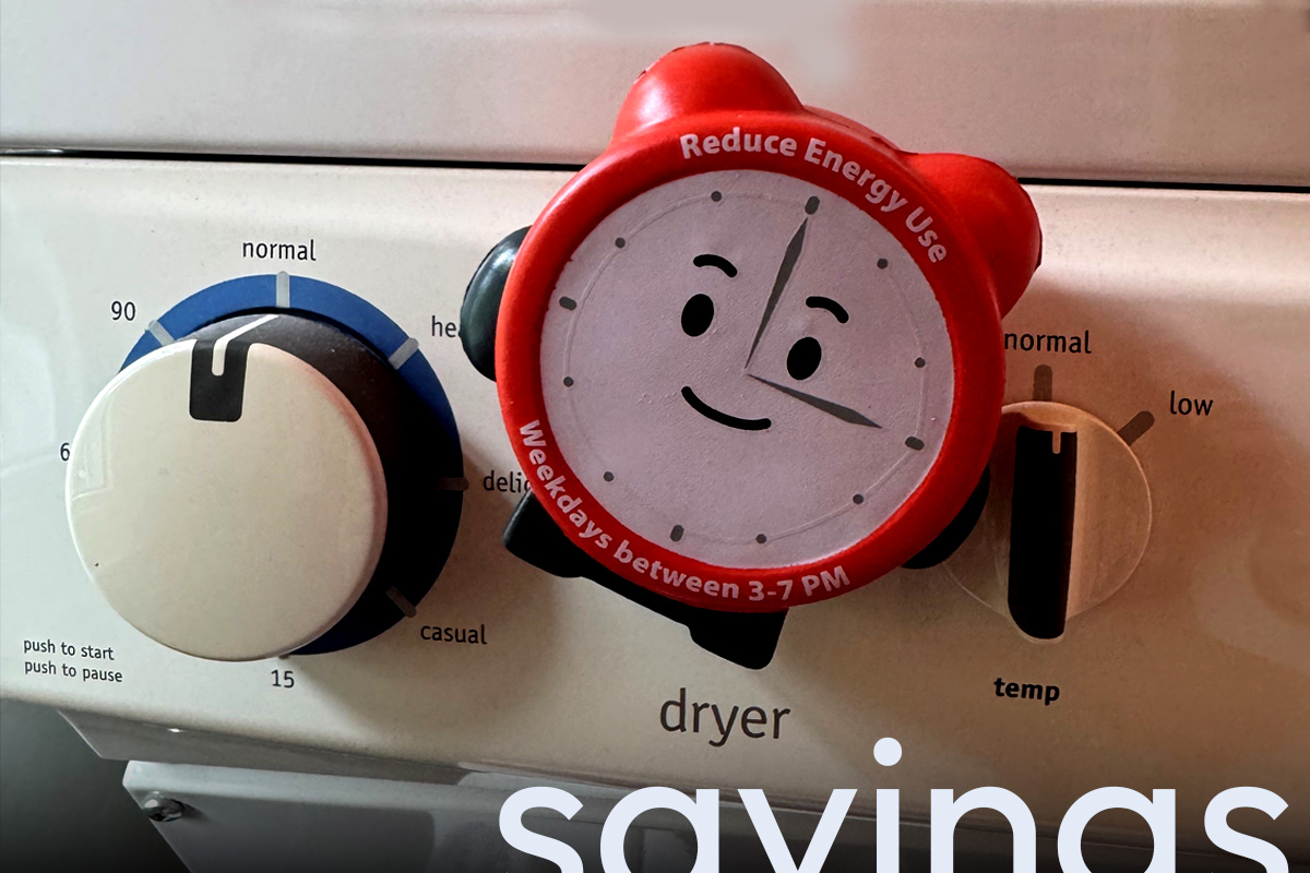 Home Page - PSEG Long Island