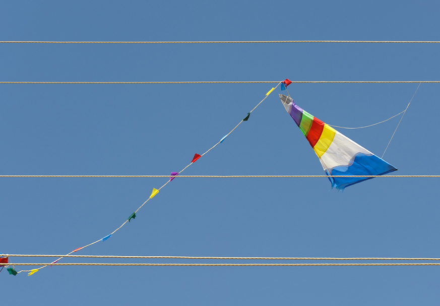Balloon & Kites Stuck in Power Lines - PSEG Long Island