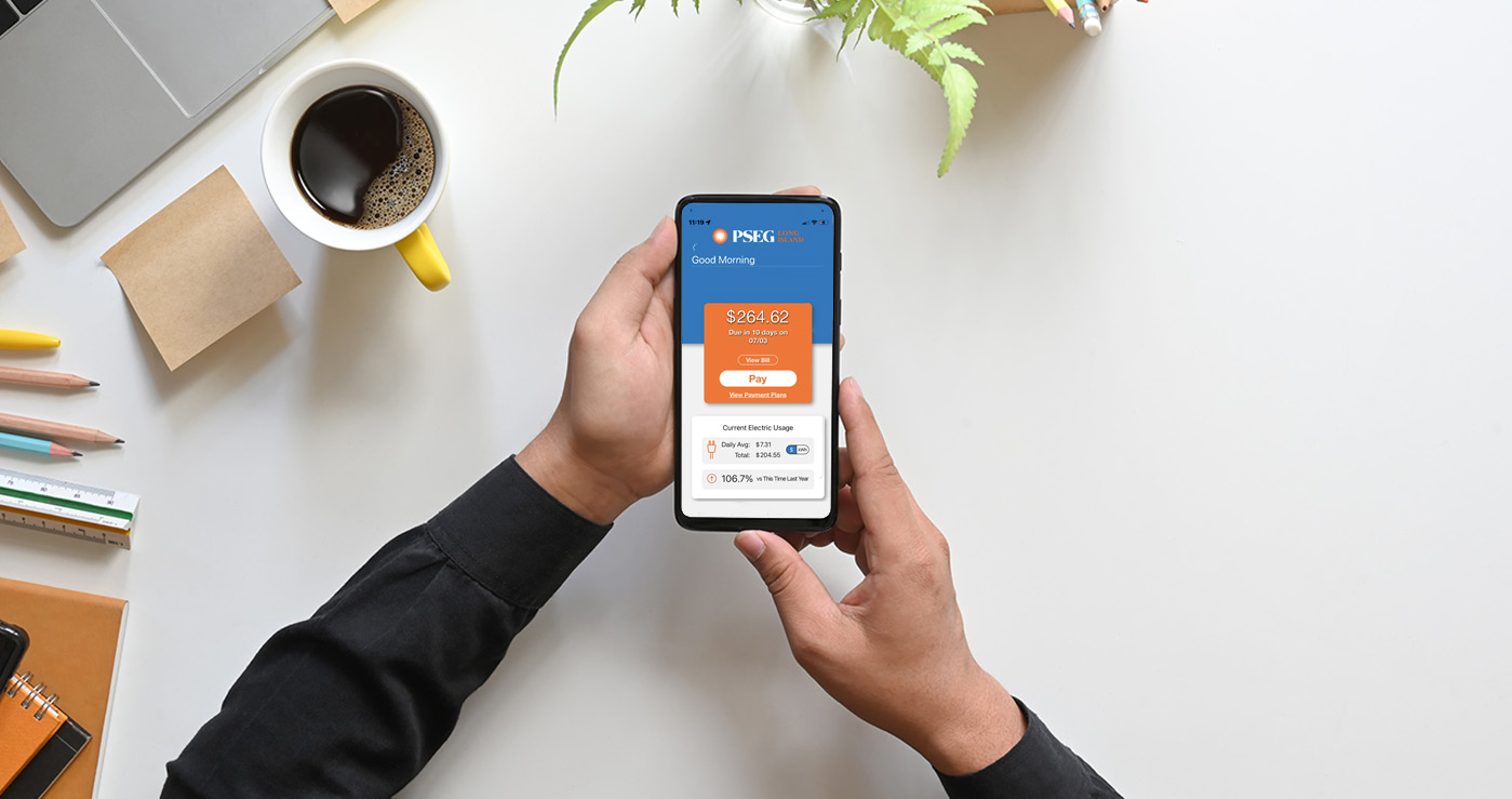 Home Page - PSEG Long Island