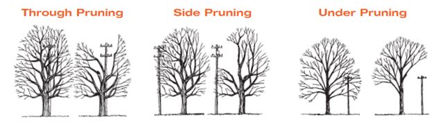 Tree Trimming and Pruning - PSEG Long Island